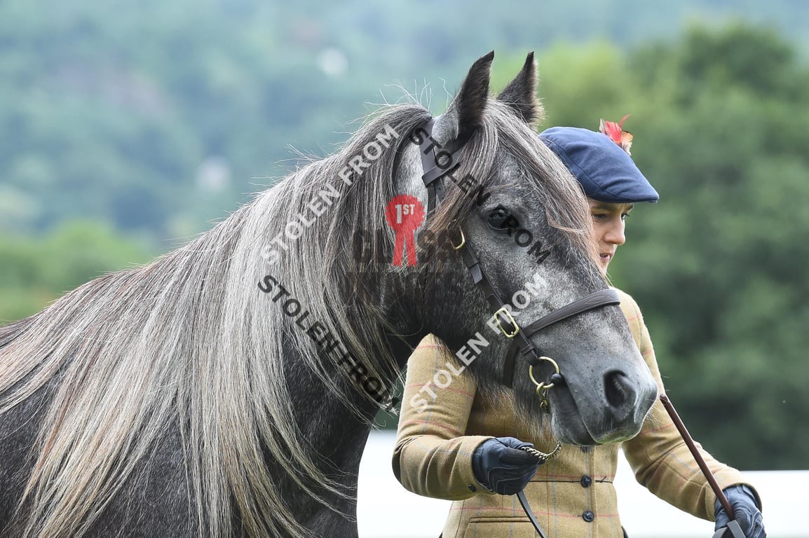 A87_6360 2024 - 1st Class Images