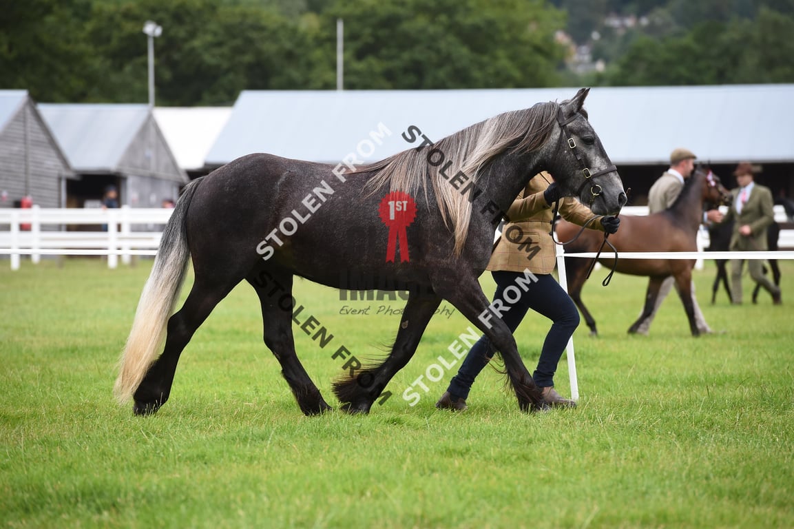 A87_6434 2024 - 1st Class Images