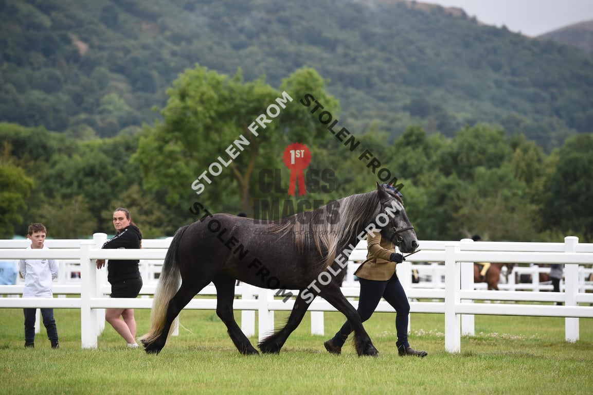 A87_6437 2024 - 1st Class Images