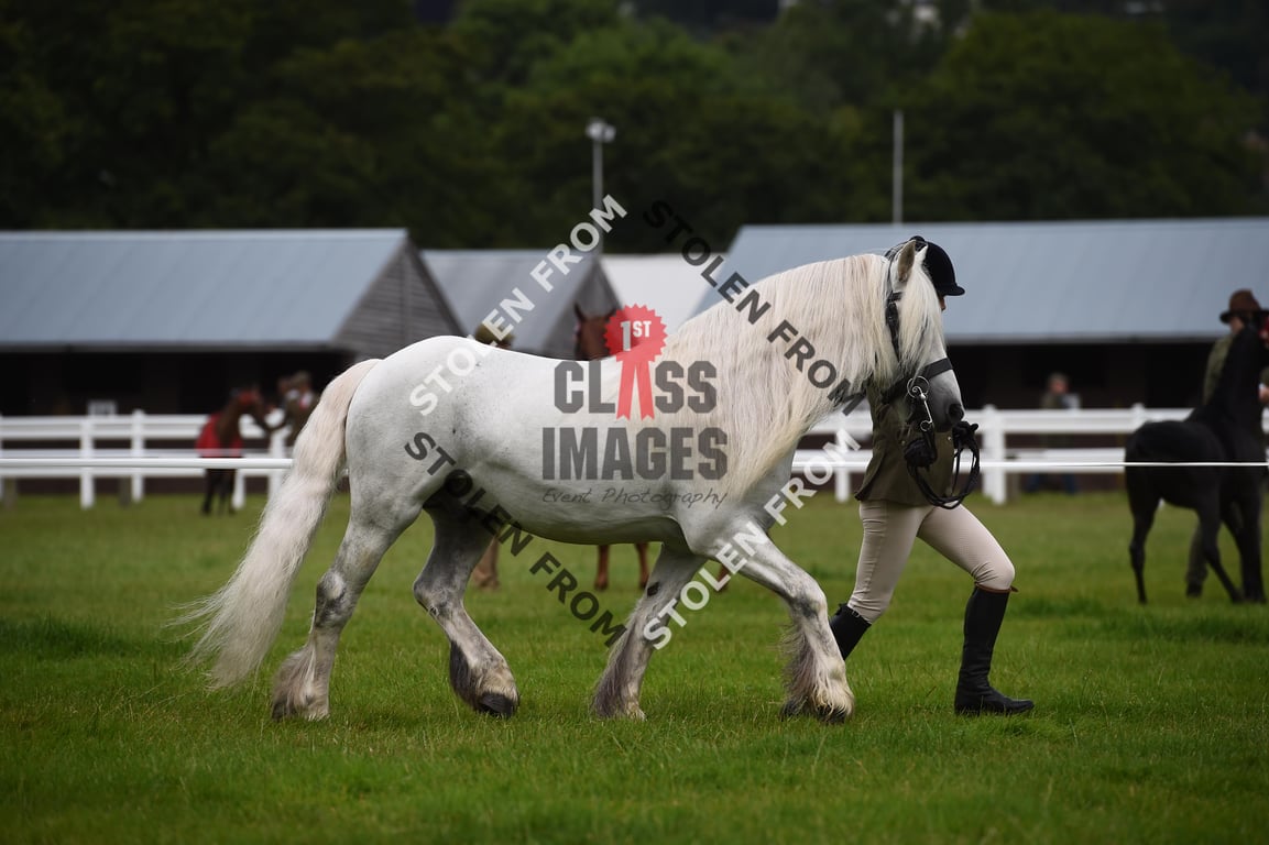 A87_6451 2024 - 1st Class Images