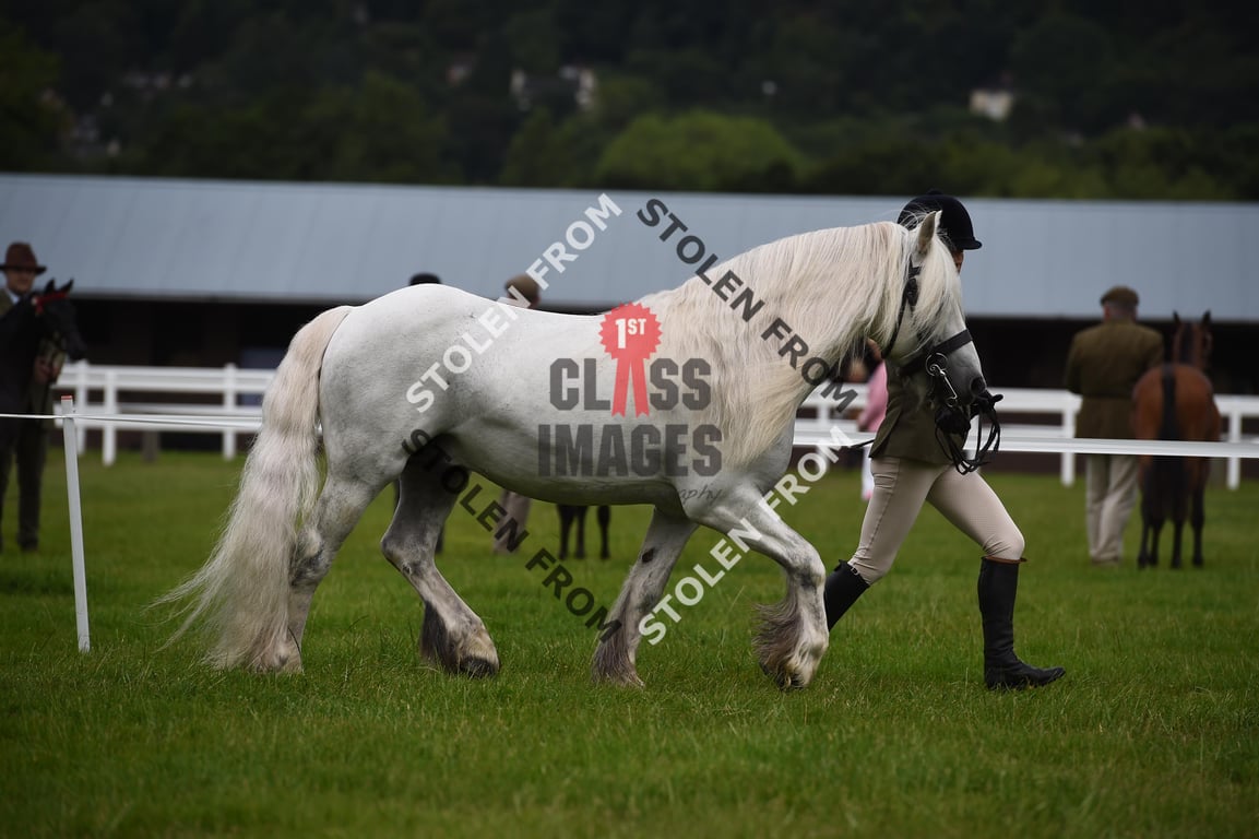 A87_6453 2024 - 1st Class Images