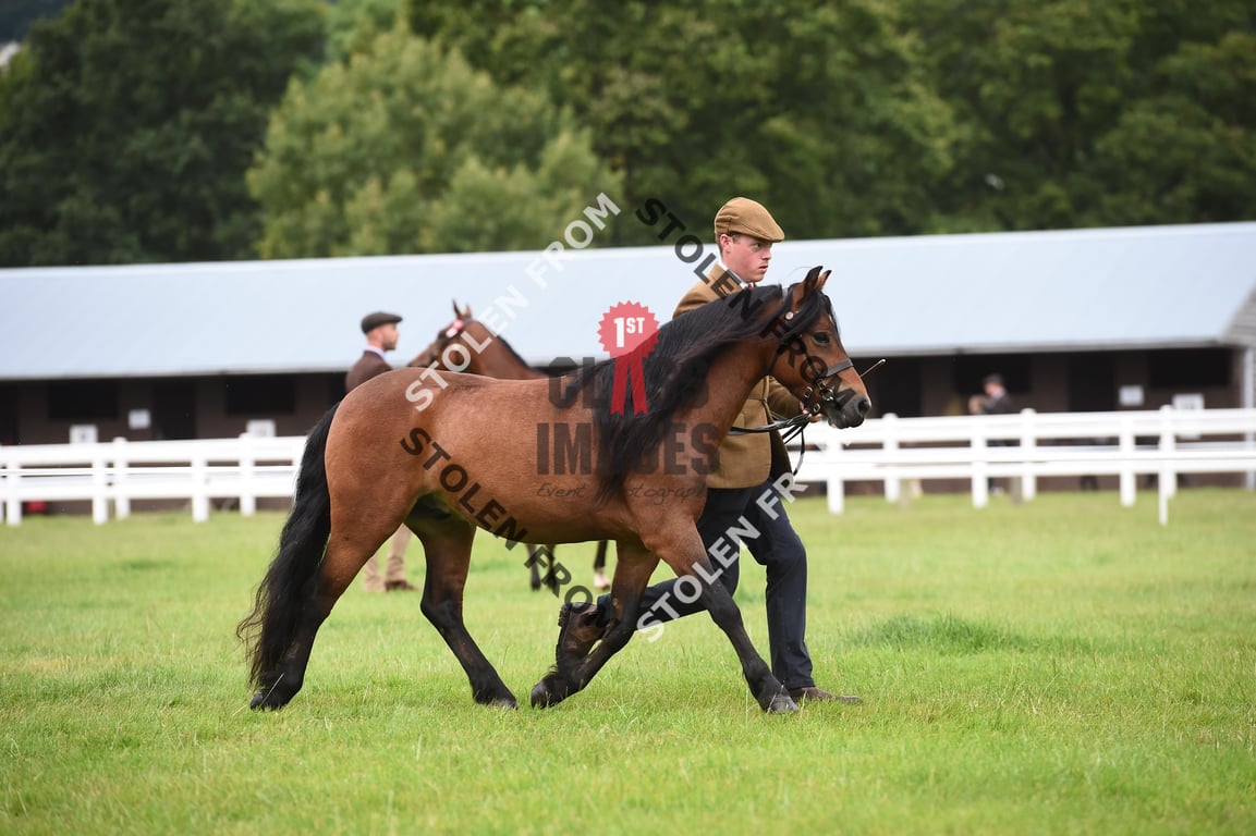 A87_6457 2024 - 1st Class Images