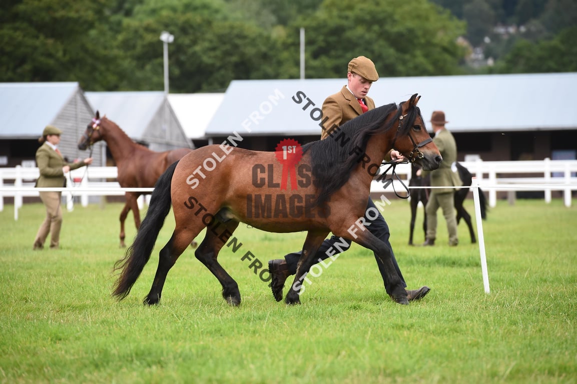 A87_6459 2024 - 1st Class Images