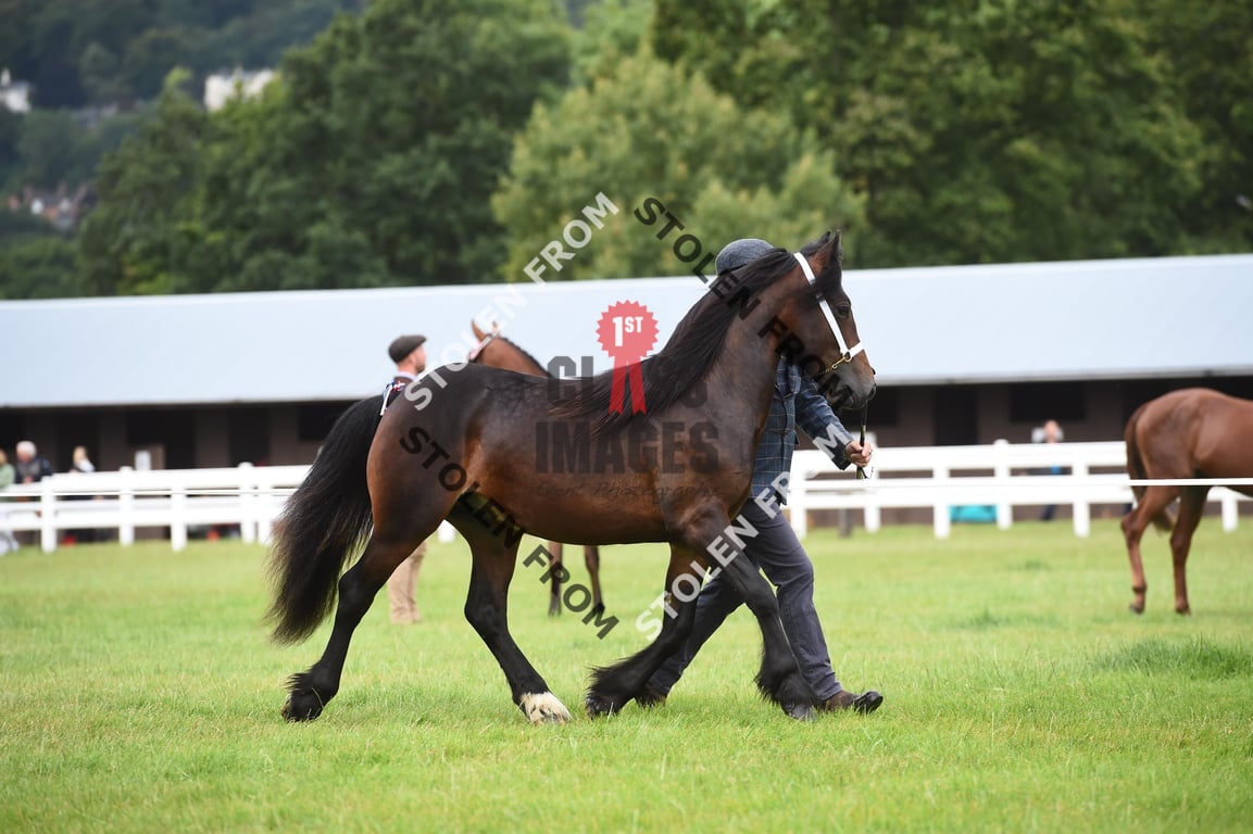 A87_6463 2024 - 1st Class Images