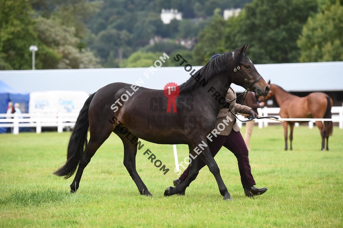 A87_6474 2024 - 1st Class Images