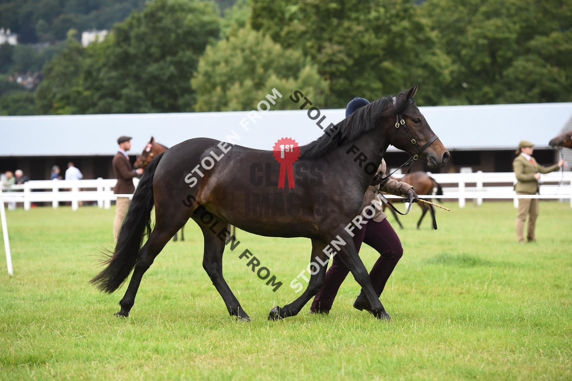 A87_6475 2024 - 1st Class Images