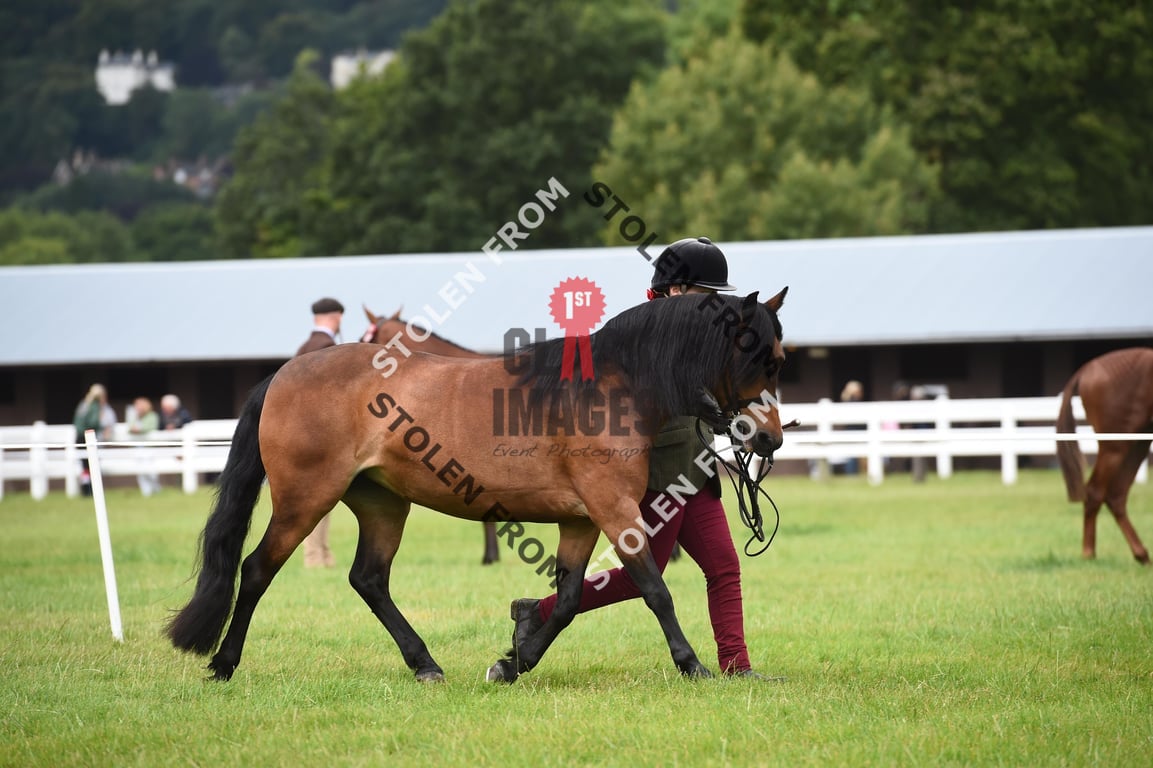 A87_6493 2024 - 1st Class Images