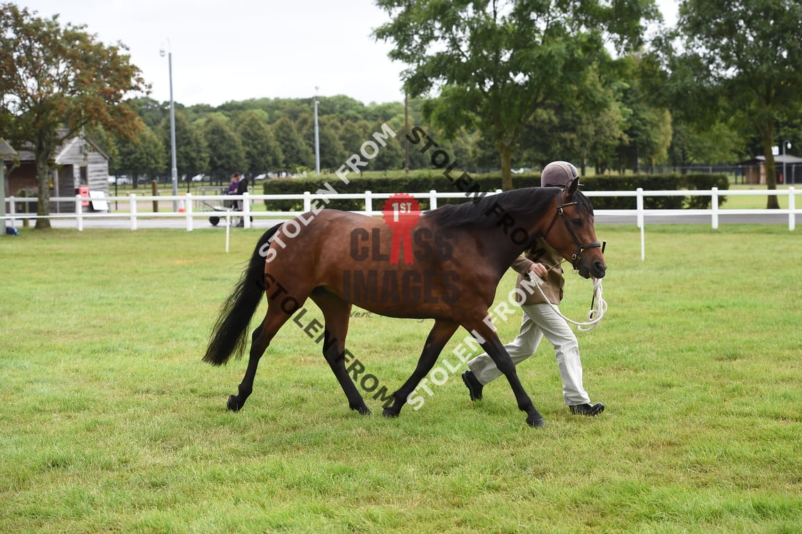 A87_6502 2024 - 1st Class Images