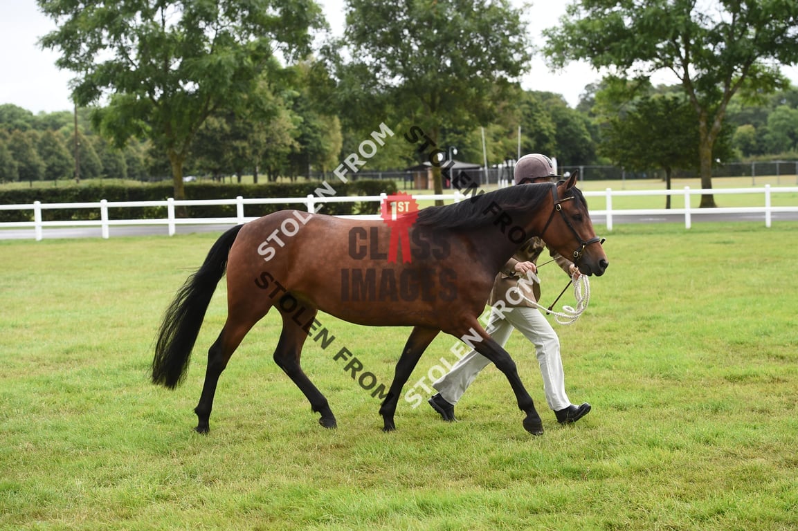 A87_6503 2024 - 1st Class Images