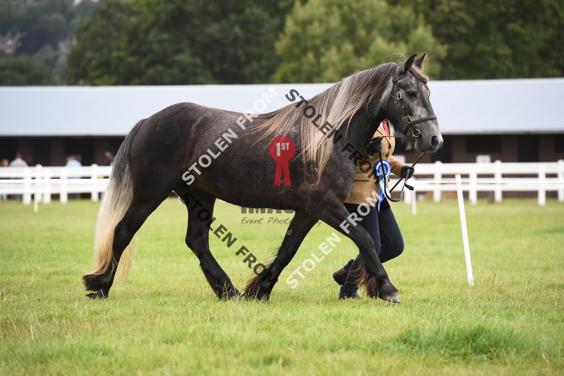 A87_6604 2024 - 1st Class Images