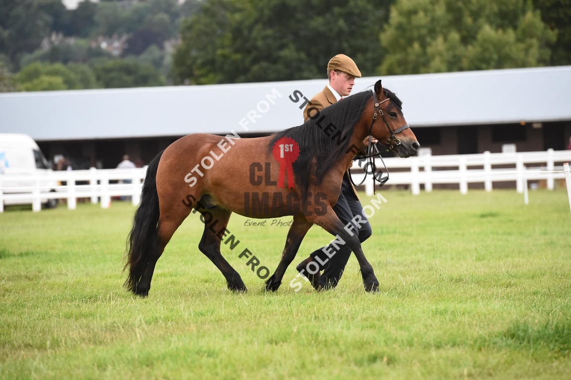 A87_6606 2024 - 1st Class Images