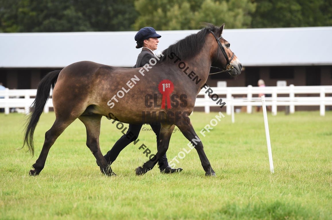 A87_6608 2024 - 1st Class Images