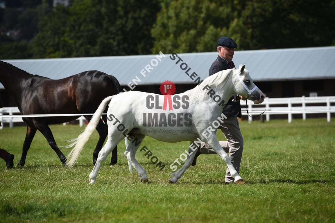 A87_7395 2024 - 1st Class Images