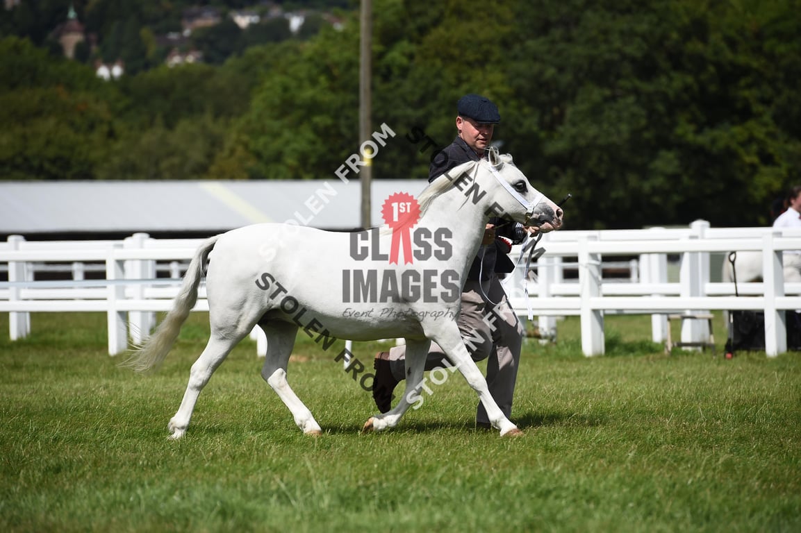 A87_7473 2024 - 1st Class Images