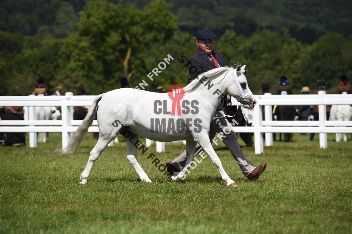 A87_7476 2024 - 1st Class Images