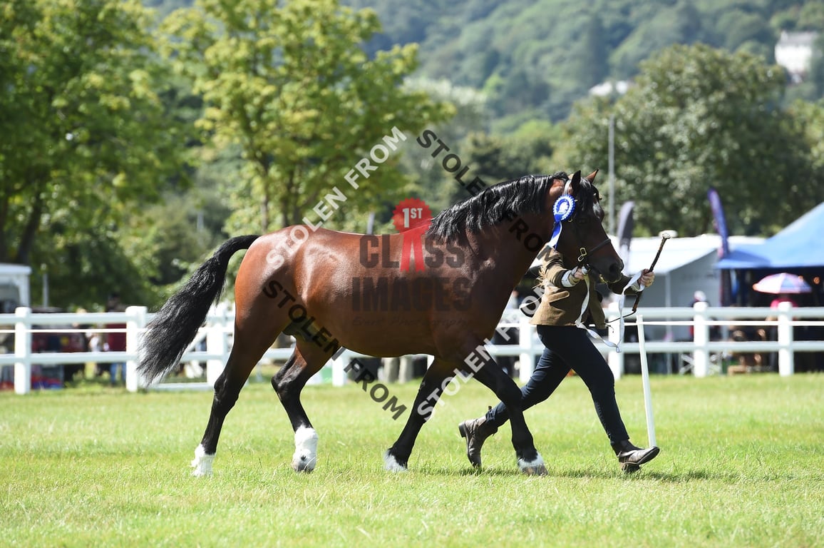 A87_7484 2024 - 1st Class Images