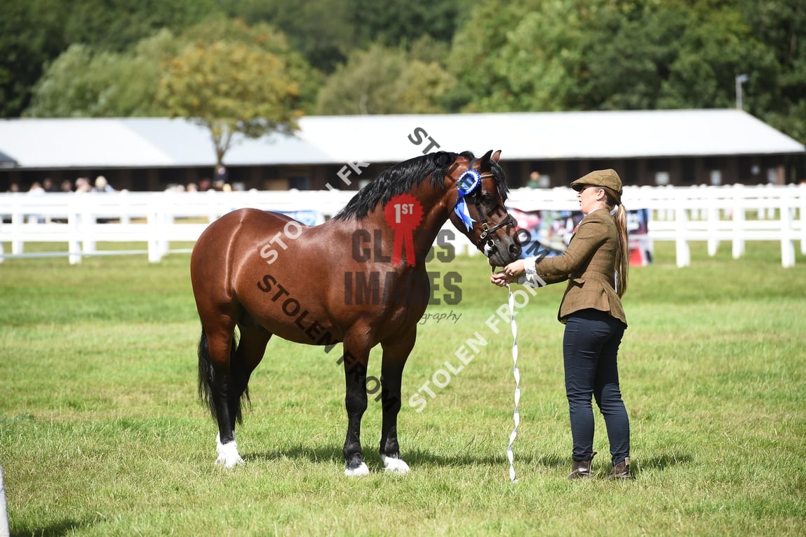 A87_7500 2024 - 1st Class Images