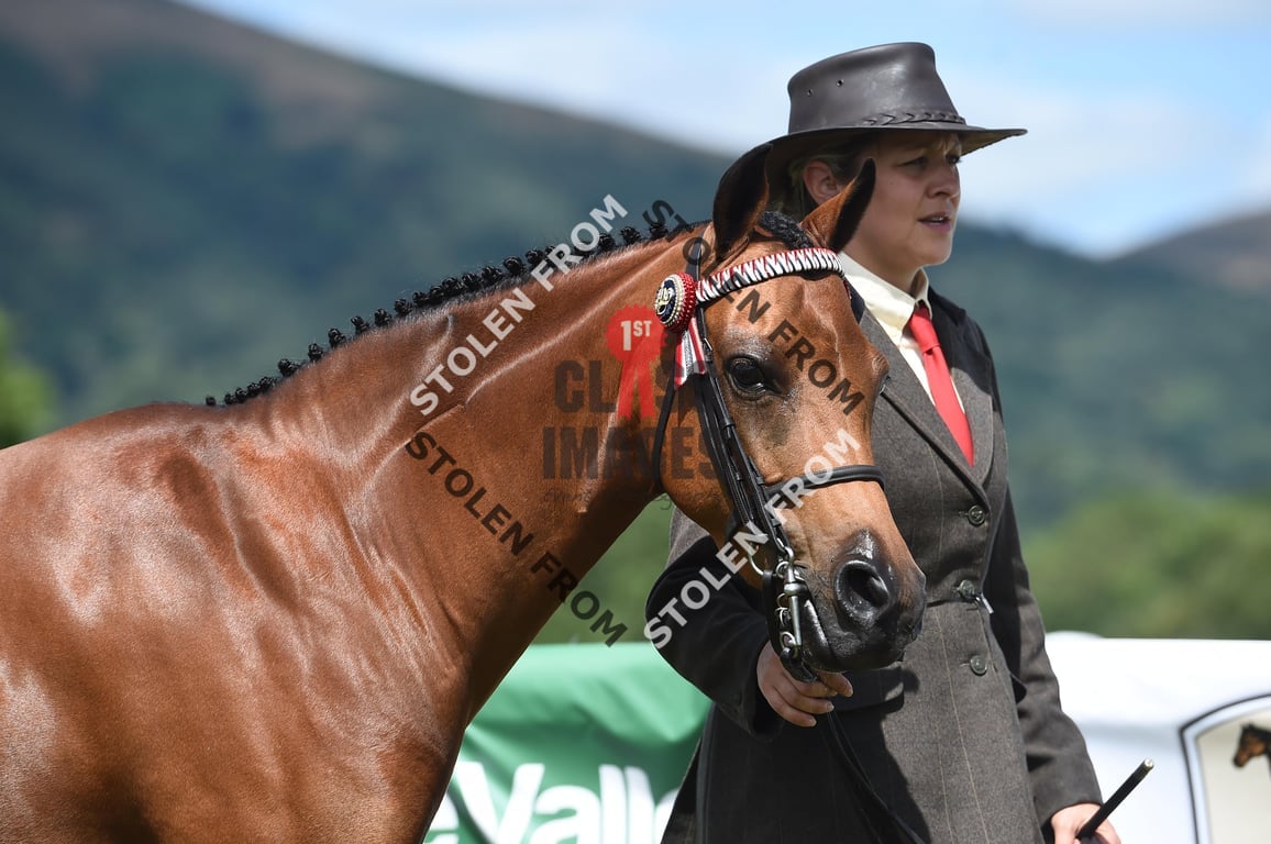 A87_7531 2024 - 1st Class Images