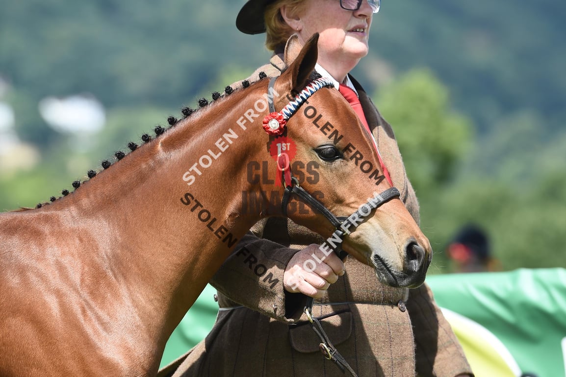 A87_7533 2024 - 1st Class Images