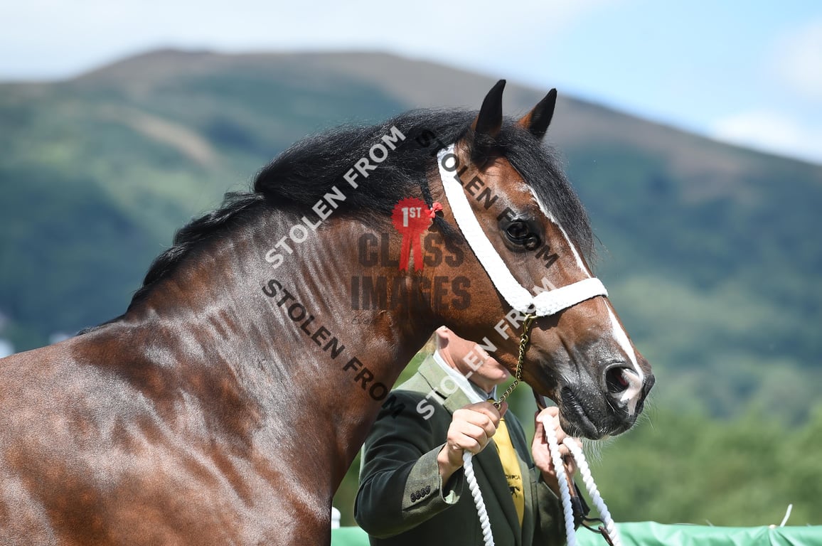 A87_7537 2024 - 1st Class Images