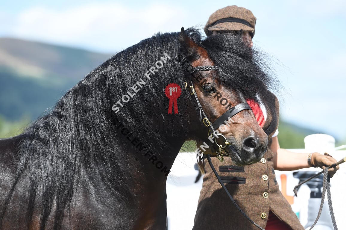 A87_7540 2024 - 1st Class Images