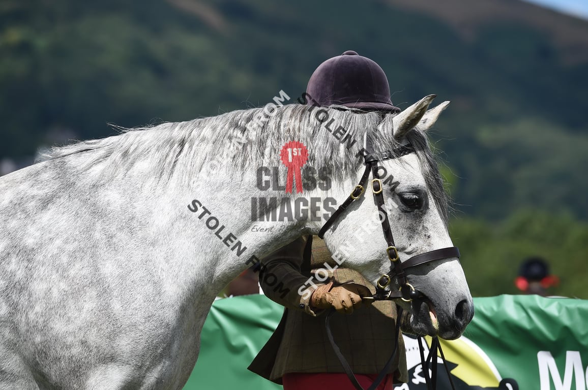 A87_7545 2024 - 1st Class Images