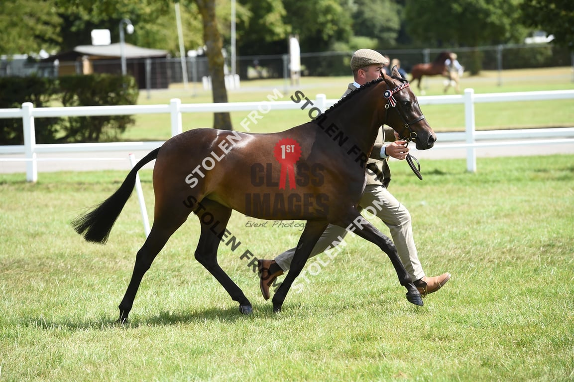 A87_7550 2024 - 1st Class Images