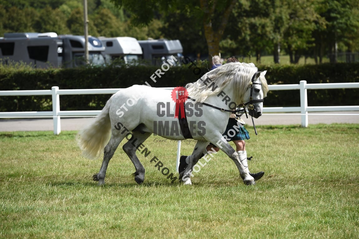 A87_7555 2024 - 1st Class Images