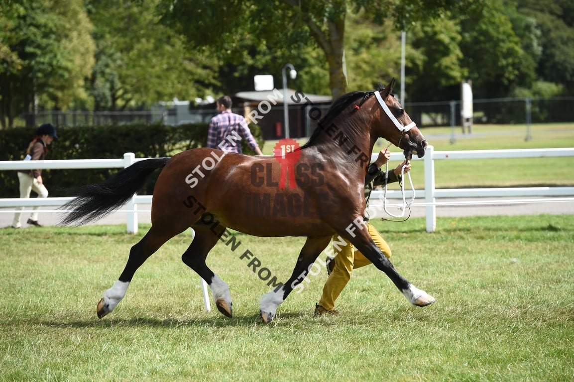 A87_7578 2024 - 1st Class Images