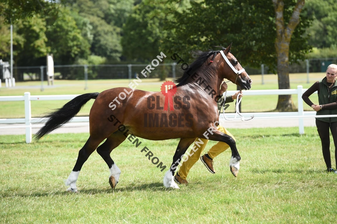 A87_7579 2024 - 1st Class Images