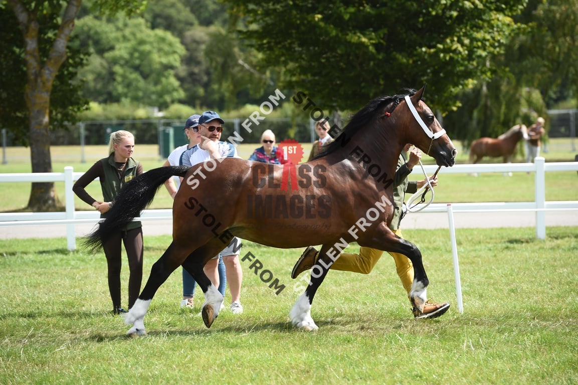 A87_7580 2024 - 1st Class Images