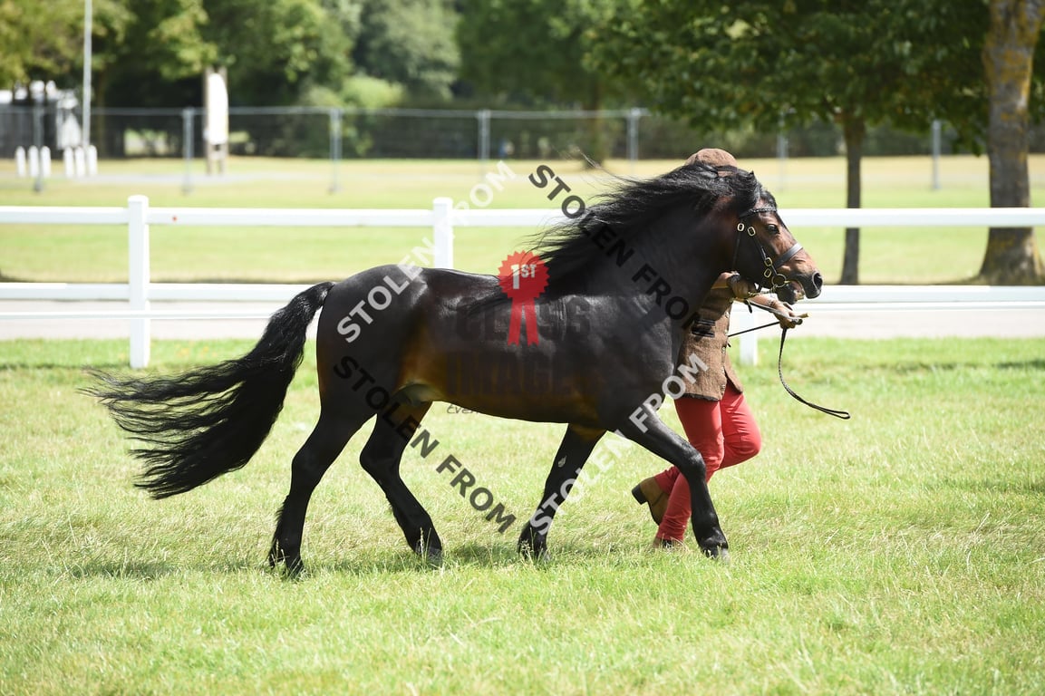 A87_7587 2024 - 1st Class Images