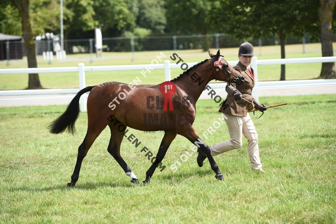 A87_7595 2024 - 1st Class Images