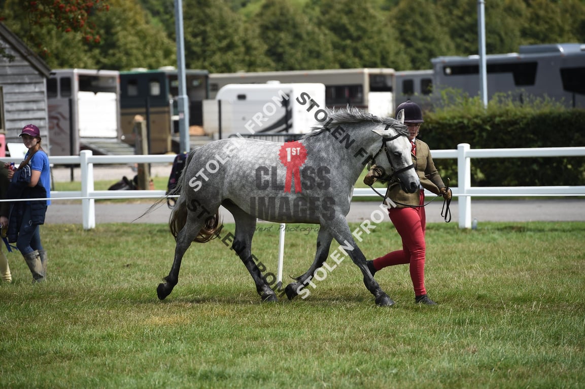 A87_7604 2024 - 1st Class Images