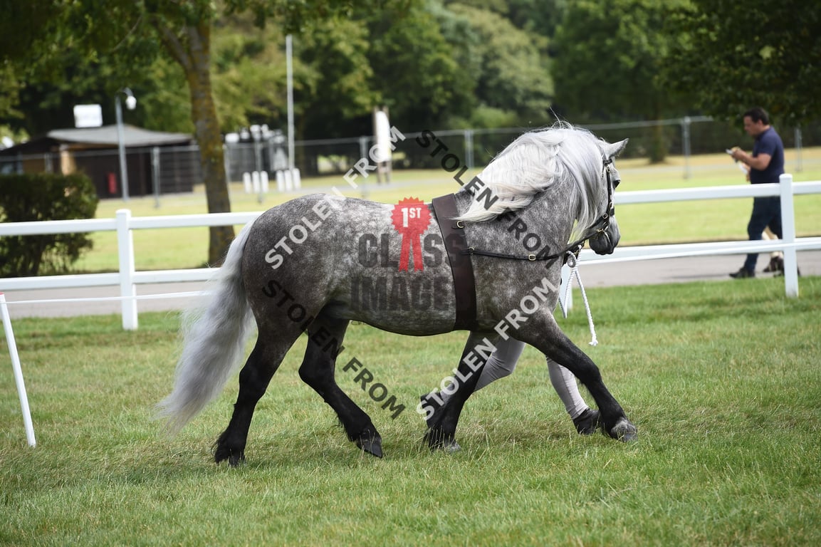 A87_7620 2024 - 1st Class Images