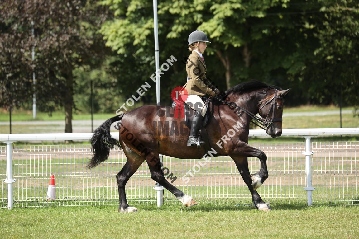 H87_2051 2024 - 1st Class Images