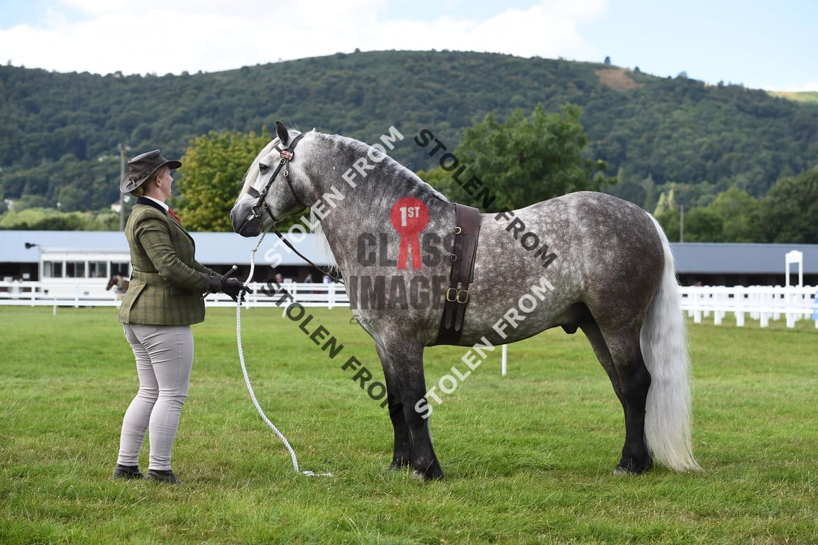 A87_7663 2024 - 1st Class Images