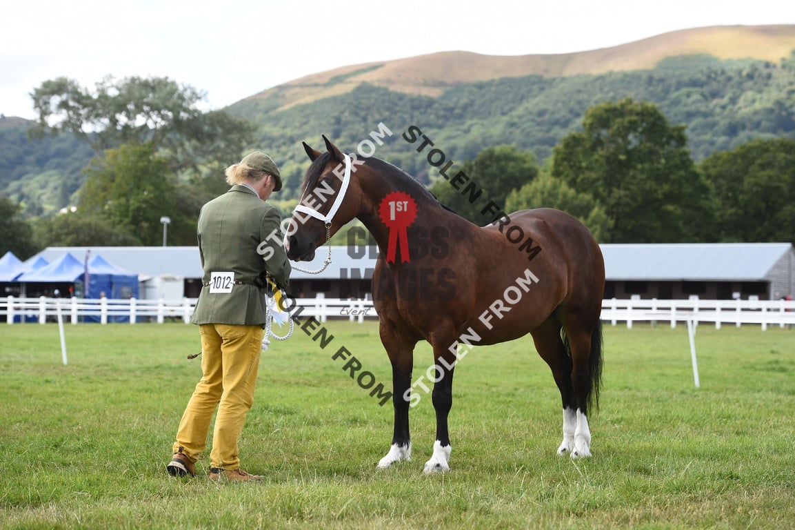 A87_7666 2024 - 1st Class Images