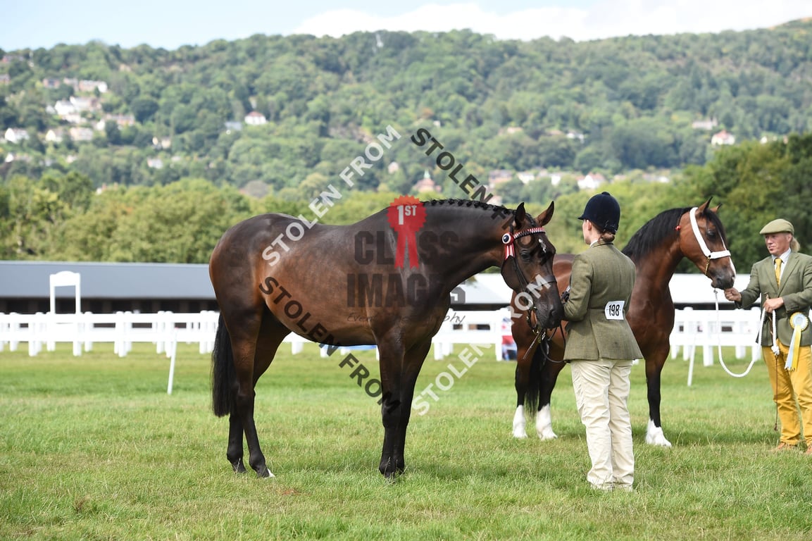 A87_7672 2024 - 1st Class Images