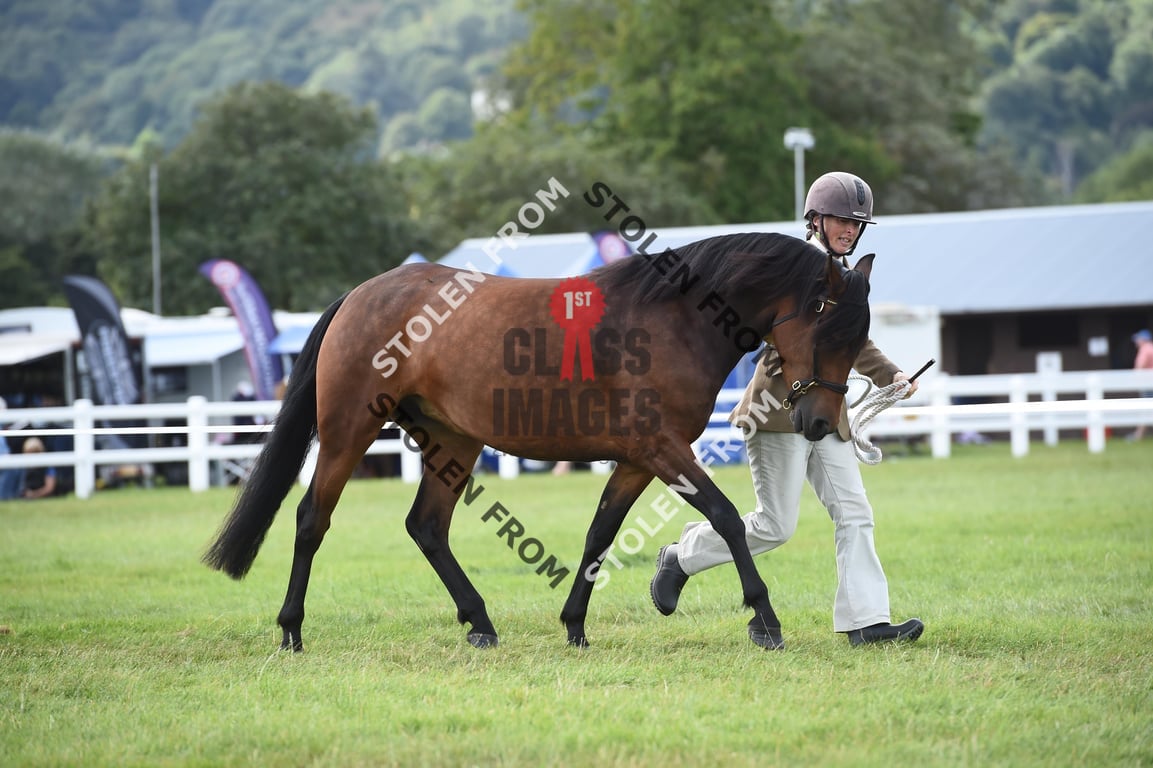 A87_7747 2024 - 1st Class Images