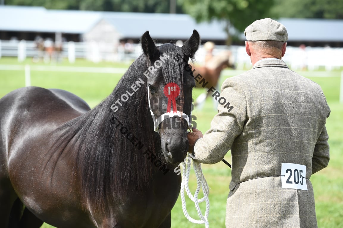 A87_7756 2024 - 1st Class Images