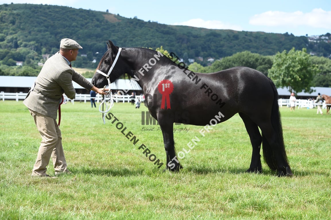 A87_7764 2024 - 1st Class Images