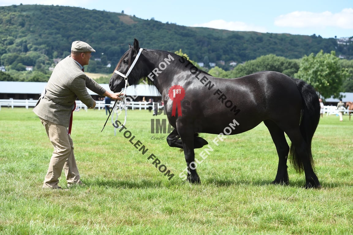 A87_7765 2024 - 1st Class Images