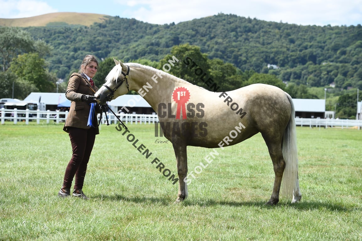 A87_7770 2024 - 1st Class Images