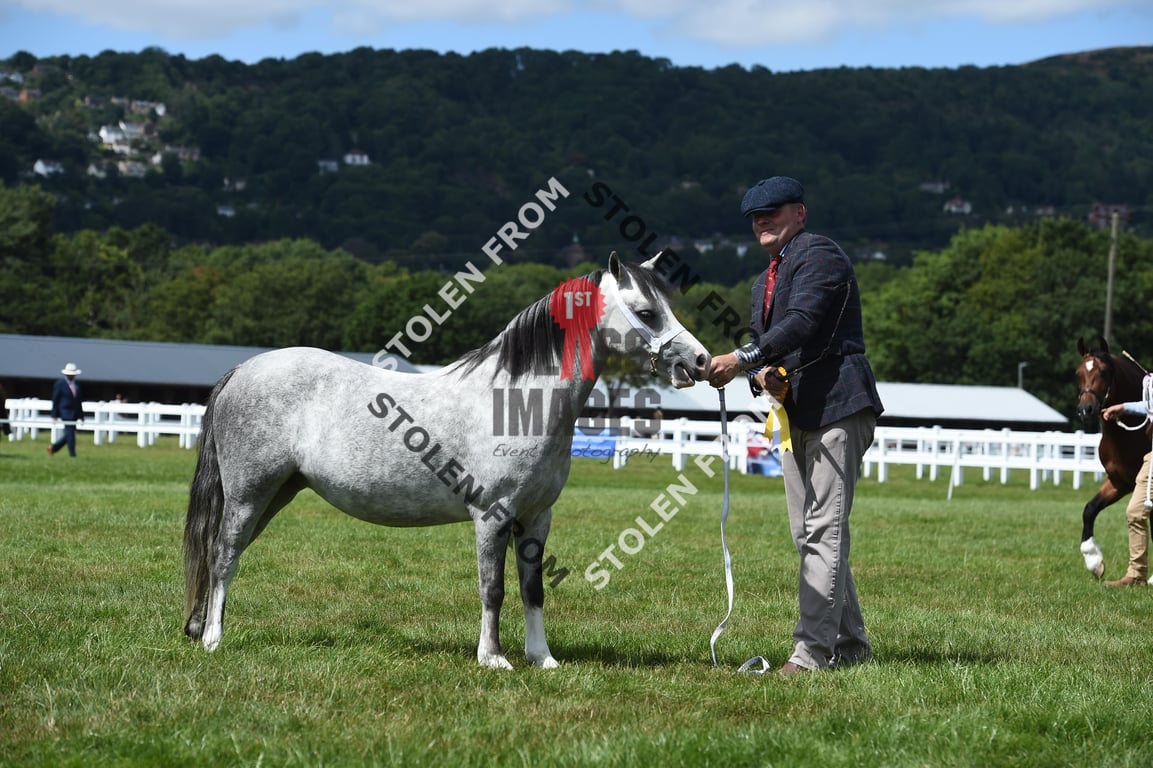 A87_7775 2024 - 1st Class Images