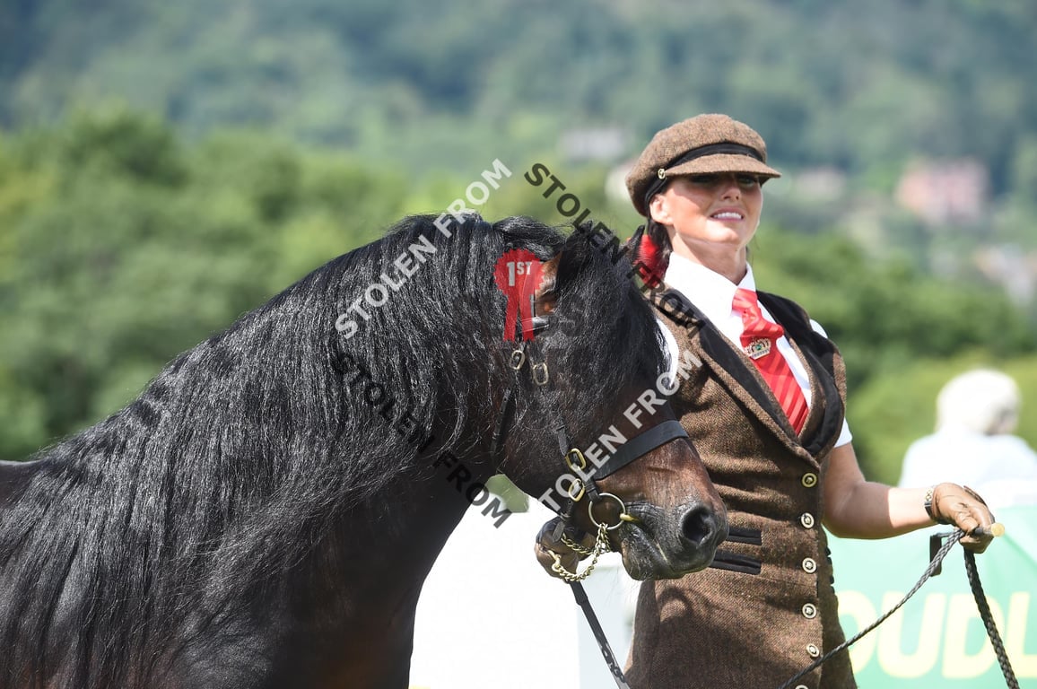 A87_7804 2024 - 1st Class Images