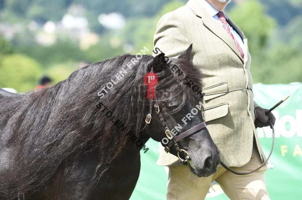 A87_7810 2024 - 1st Class Images