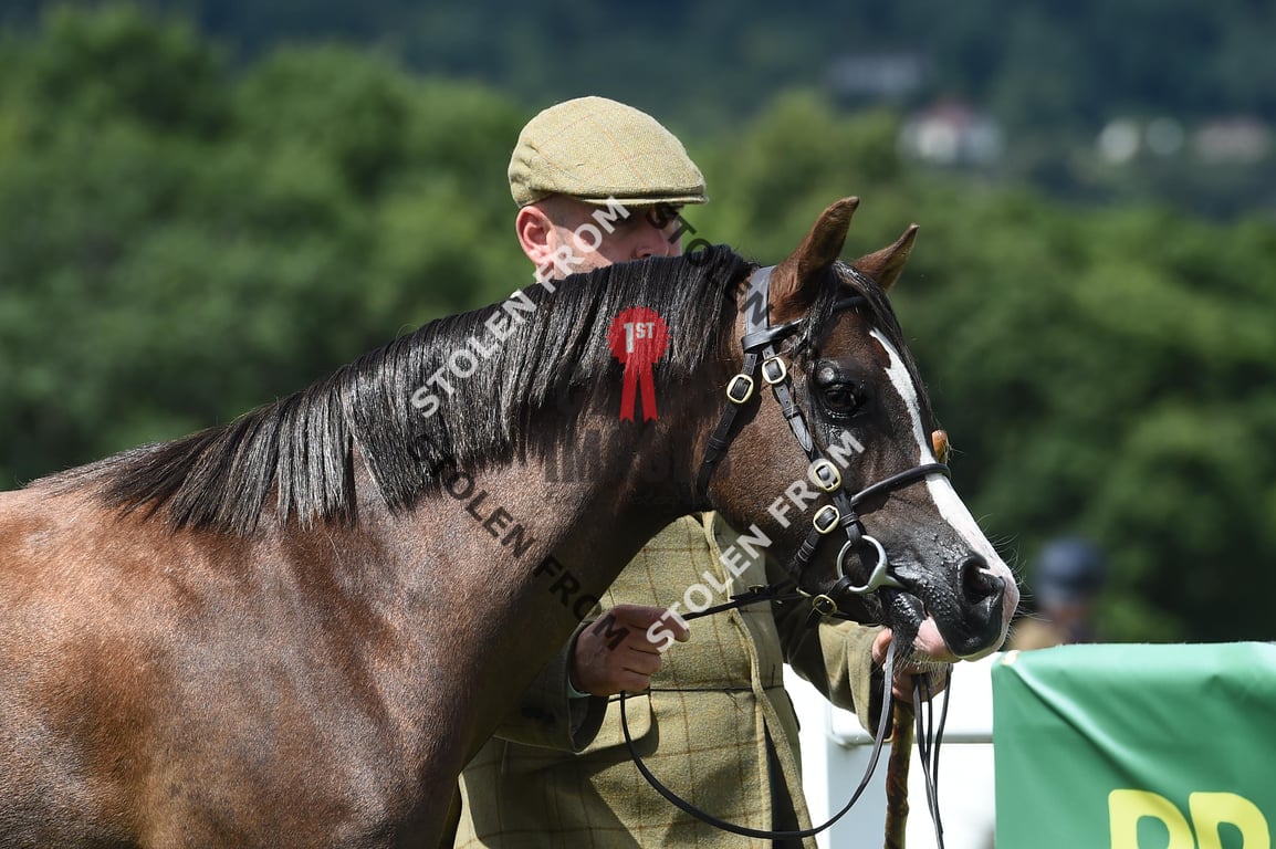 A87_7815 2024 - 1st Class Images