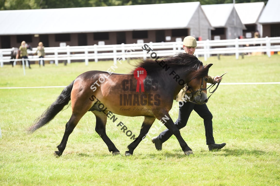 A87_7823 2024 - 1st Class Images