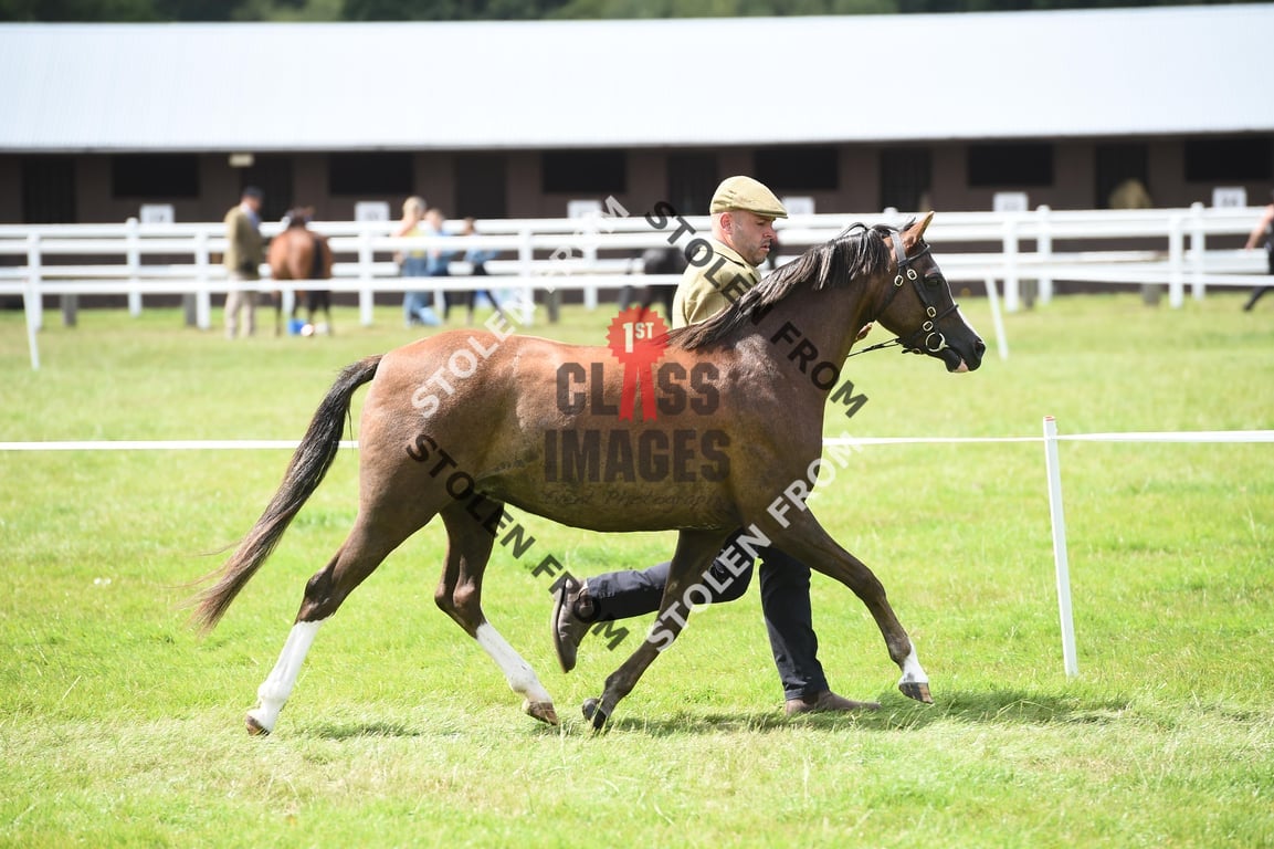 A87_7834 2024 - 1st Class Images